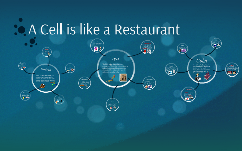 A Cell is like a Restaurant by Connor Pupp on Prezi
