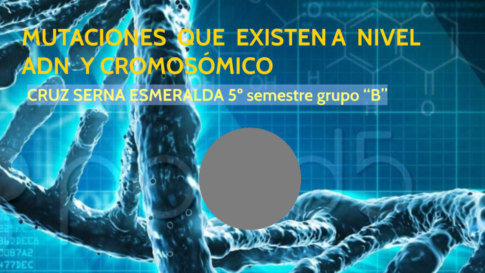 MUTACIONES QUE EXISTEN A NIVEL ADN Y CROMOSÓMICO by Esmeralda Cruz ...