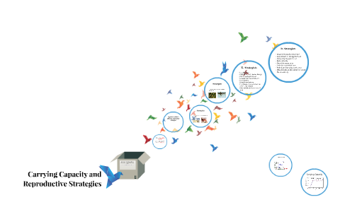Carrying Capacity and Reproductive Strategies by Kelsey Dobradu on Prezi