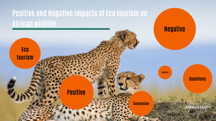 Positive and Negative impacts of ecotourism on african wildlife by ...