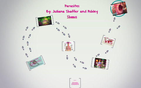 Parasites by Juliana Shaffer on Prezi