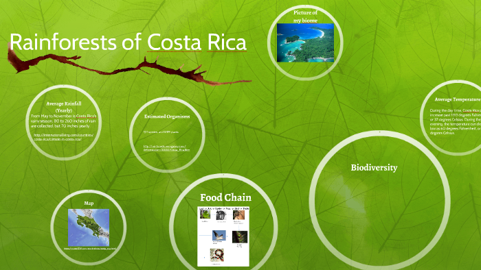 Rain Forests of Costa Rica by Catherine Mandujano on Prezi
