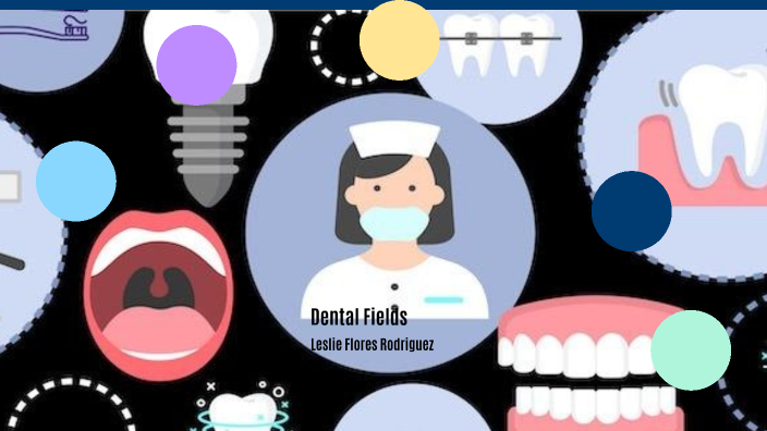 What are your career options in the dental field by Leslie Flores on Prezi
