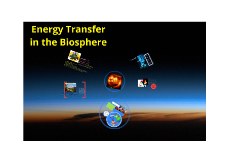 Biology 20 - Energy Transfer in the Biosphere by Dave Bacon on Prezi