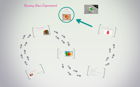 Gummy Bear Experiment by Abby Anderson on Prezi