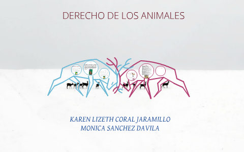 Derechos de los animales by karen coral jaramillo