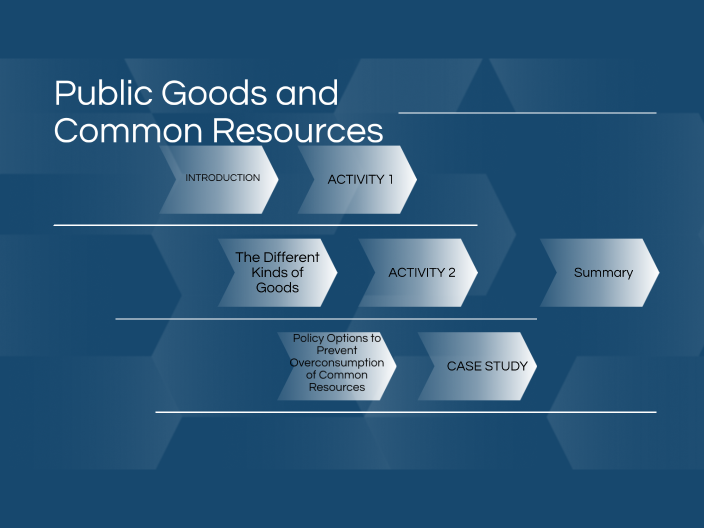 Chapter 11: Public Goods and Common ResourcesPublic Goods and Common ...