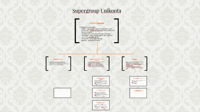 Supergroup Unikonta by Lainey Barta on Prezi