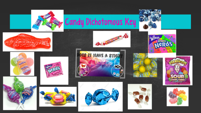 Candy Dichotomous Key by Mandy Levanen on Prezi