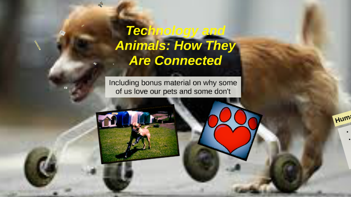 Technology and Animals: How They Are Connected by Kiwi Stack on Prezi