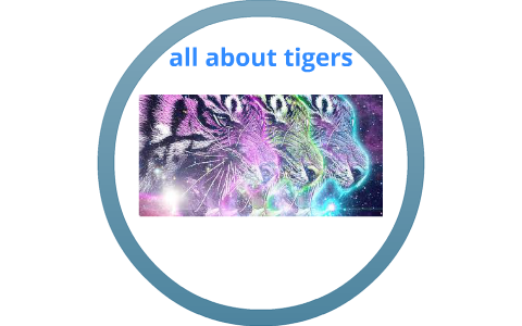 All about tigers by Computer Buddies on Prezi