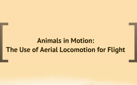 Aerial Locomotion- Jr Paw Club by Sarah Boxcars on Prezi