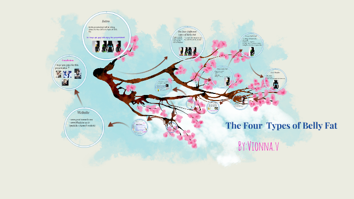 The Four Types of Belly Fat by Vivian Vuong on Prezi