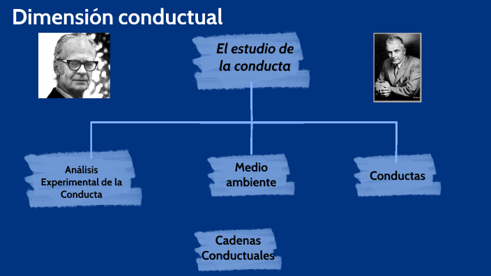 Dimensión conductual by Betsabe Lopez on Prezi
