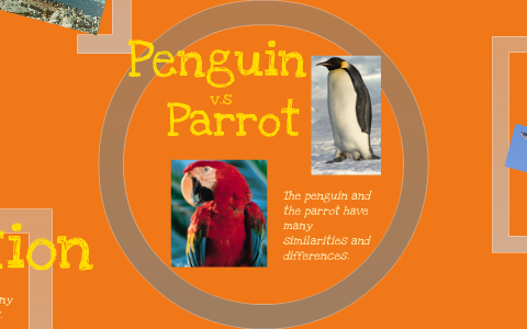 Penguin vs. Parrot by Alana Kunkler on Prezi