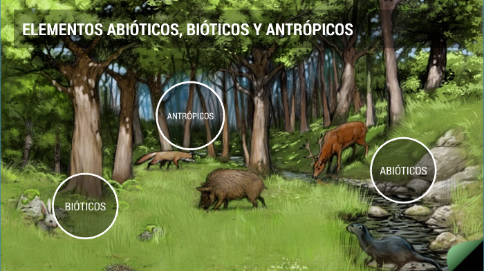 Elementos abióticos, bióticos y antrópicos by Chema CS on Prezi