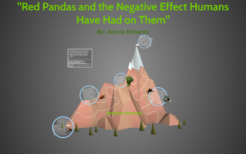 Red Pandas and the Effects Humans Have Had On Them by Alyssa Edwards on ...