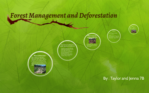 Forest Management and Deforestation by Taylor Giordano on Prezi