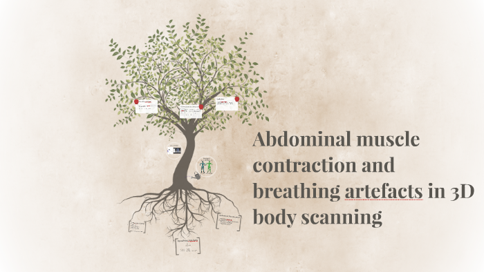 Abdominal muscle contraction and breathing artefacts in 3D b by Hazel Sy