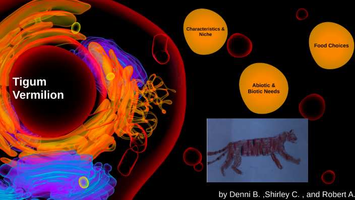 Evolution Of New Species Project by Shirley Capetillo on Prezi
