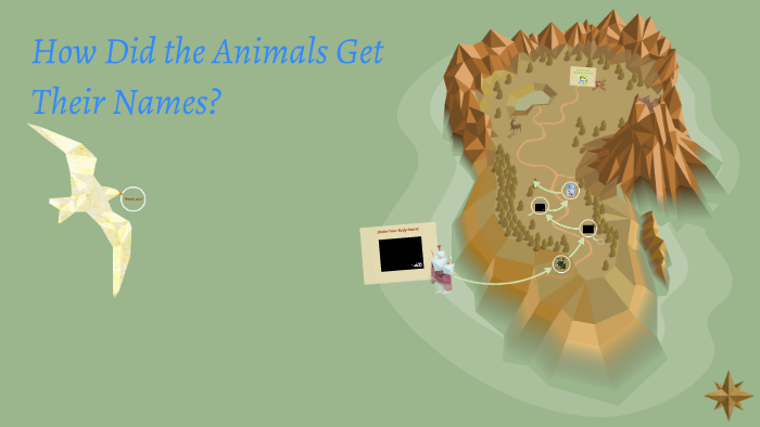 How Did the Animals Get Their Names? by Clinton Anderson on Prezi