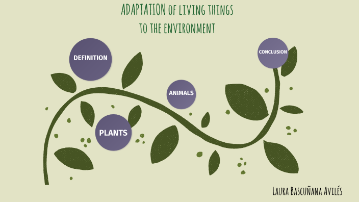 Adaptation of living things to the environment by Laura Bascuñana ...