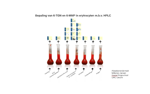 Bepaling van 6-TGN en 6-MMP in erytrocyten m.b.v. HPLC by Anne van de ...
