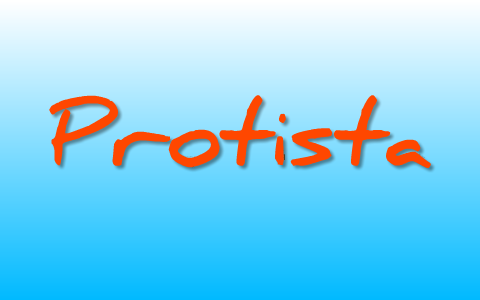 Kingdom: Protista by morgan fenner