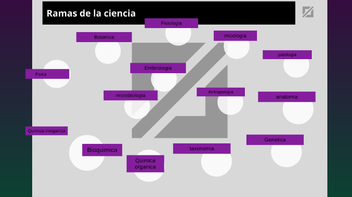 Ramas de la ciencia by Joseph Benavies on Prezi