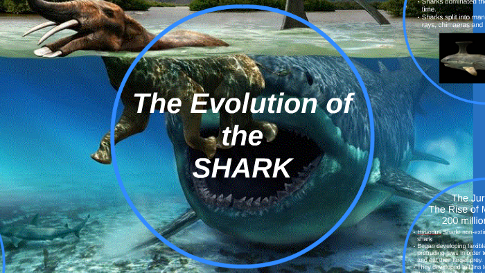The Evolution of Sharks by Christina Wolf on Prezi
