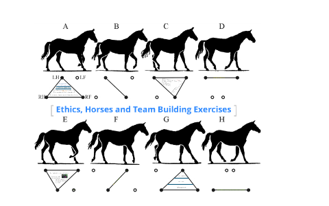 Ethics, Horses and Team Building Exercises by Sean KB on Prezi