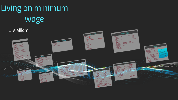 Living on minimum wage by lily milam