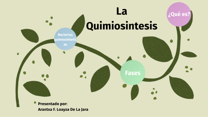 Ciclo De Quimiosíntesis Quimiosíntesis | PPTX