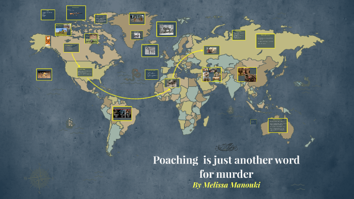 Poaching Around The World by Melissa Manouki on Prezi