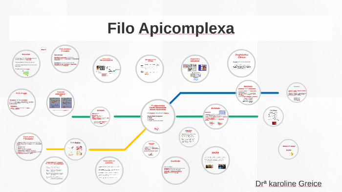 Filo Apicomplexa by Vinicius Silva on Prezi