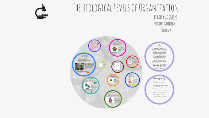 The Biological Levels of Organization by on Prezi
