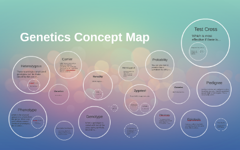 Genetics Concept Map by Anna Chang on Prezi
