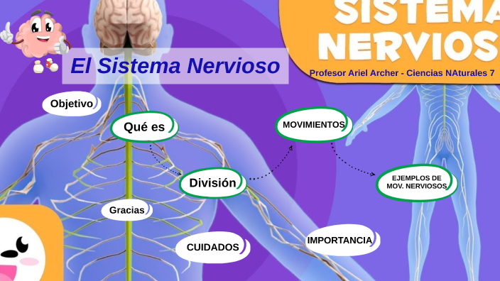 El Sistema Nervioso y los Sentidos by Antonio Archer