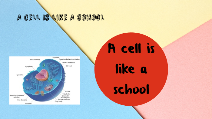 Cell Analogy Project- A Cell Is Like A School by JAEHYUNG CHOI on Prezi