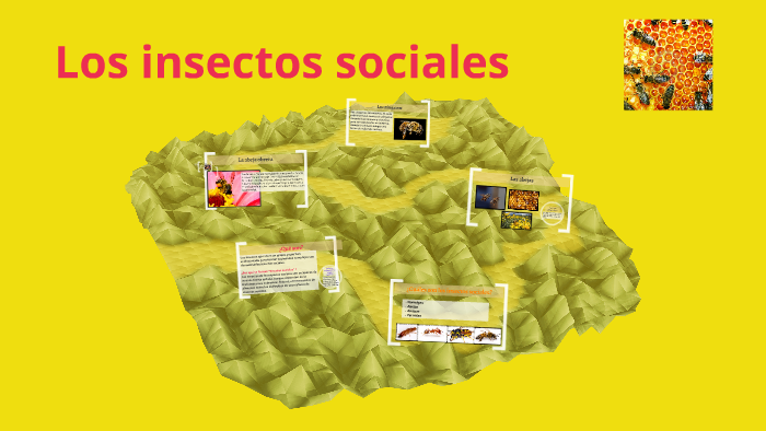 Los insectos sociales by Alexandra Da Rosa on Prezi