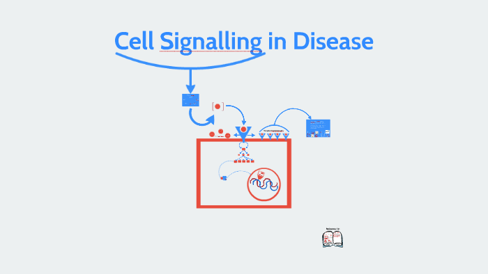 Cell Signalling in Disease by Matt Hutchinson on Prezi
