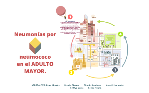 Neumonías por Neumococo en el adulto mayor. by Braulio Olivares on Prezi