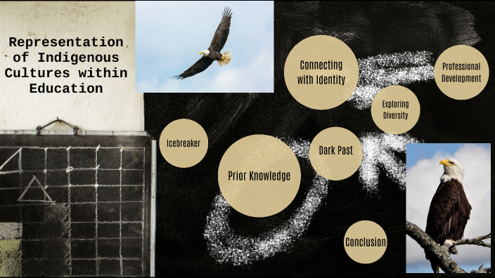 Representation of Indigenous Cultures within Education by Robin ...