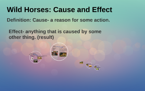 Wild Horses: Cause and Effect by Perry Kelly on Prezi