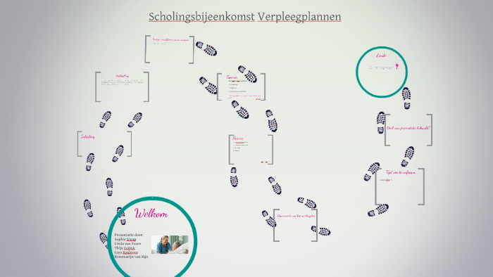 Verpleegplan & Verpleegproces by Rozemarijn van Rijn on Prezi