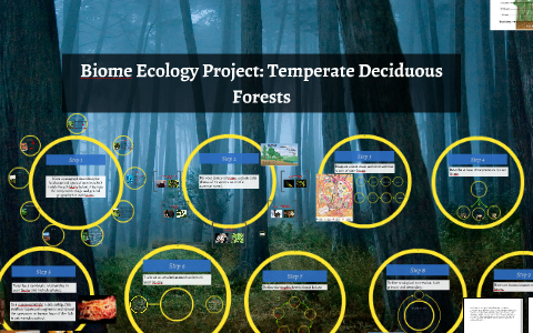 Biome Ecology Project: Temperate Deciduous Forests by Arthur Love on Prezi