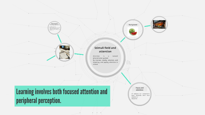 Learning involves both focused attention and peripheral perc by Nicolas ...