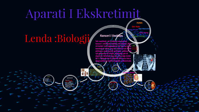 Aparati I Ekskretimit by stivi reka on Prezi