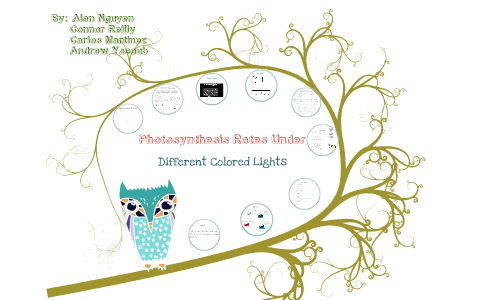 Photosynthesis Inquiry: How light color affects the rate of ...