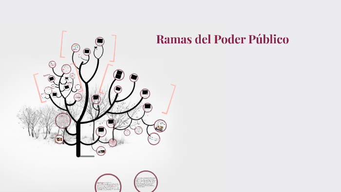 Ramas del Poder Público by Diana Solano on Prezi